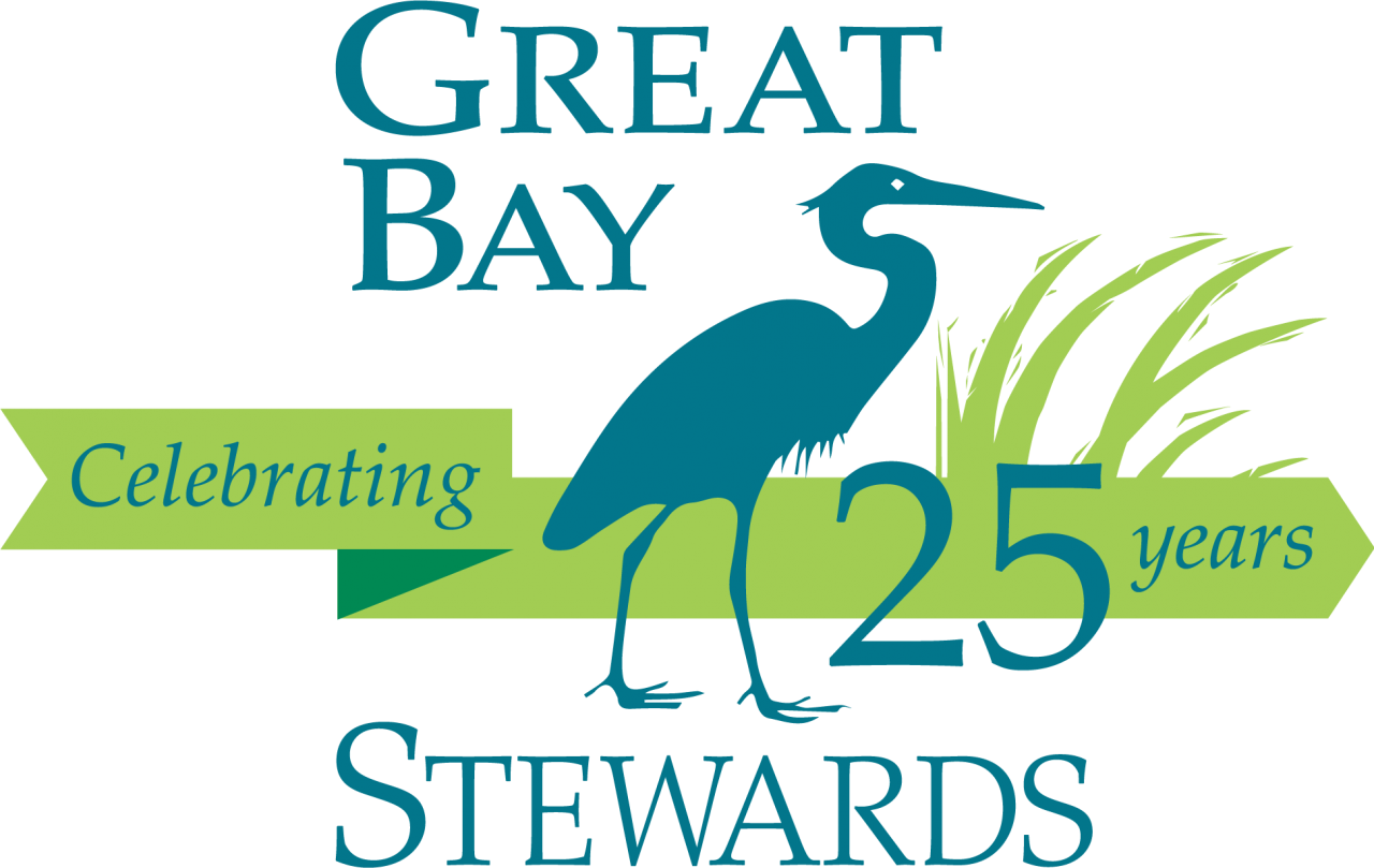 Great Bay 5K | Race for a Healthy Estuary
